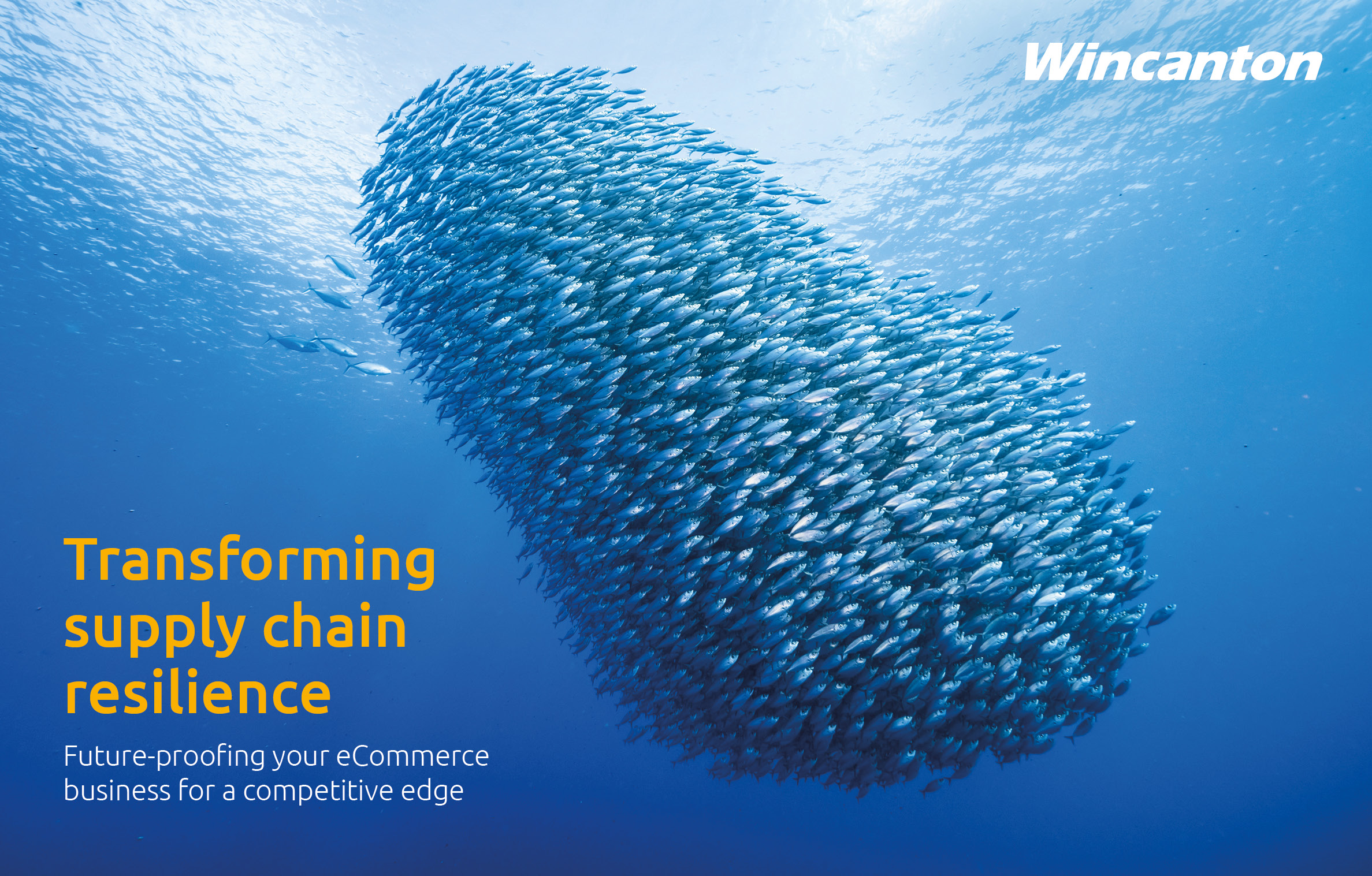 Transforming supply chain resilience - Wincanton
